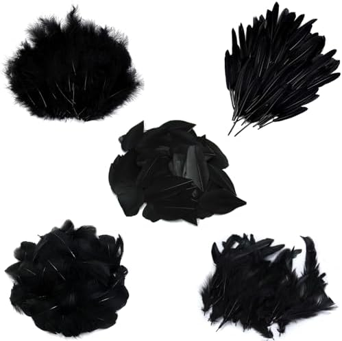 300PCS Black Feathers, 7 Styles Assorted Crafts Feathers, Feather ...