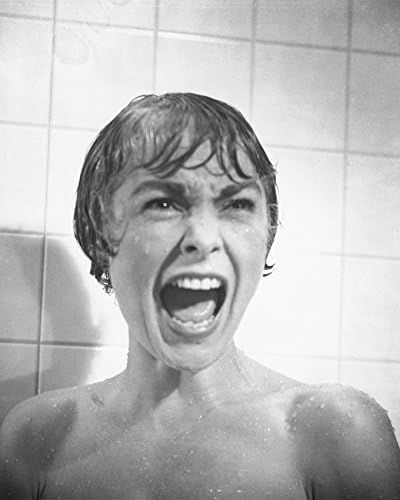 Amazon.com: Janet Leigh Psycho 24x36 Classic Hollywood Poster: Posters ...