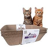 Bac à Litière Jetable KittyDoo - Robuste, Hygiénique et Recyclable pour ...