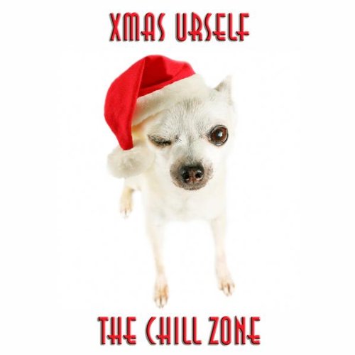 Kleiner Racker – Die 16 besten Produkte im Vergleich - HundeINFOPortal