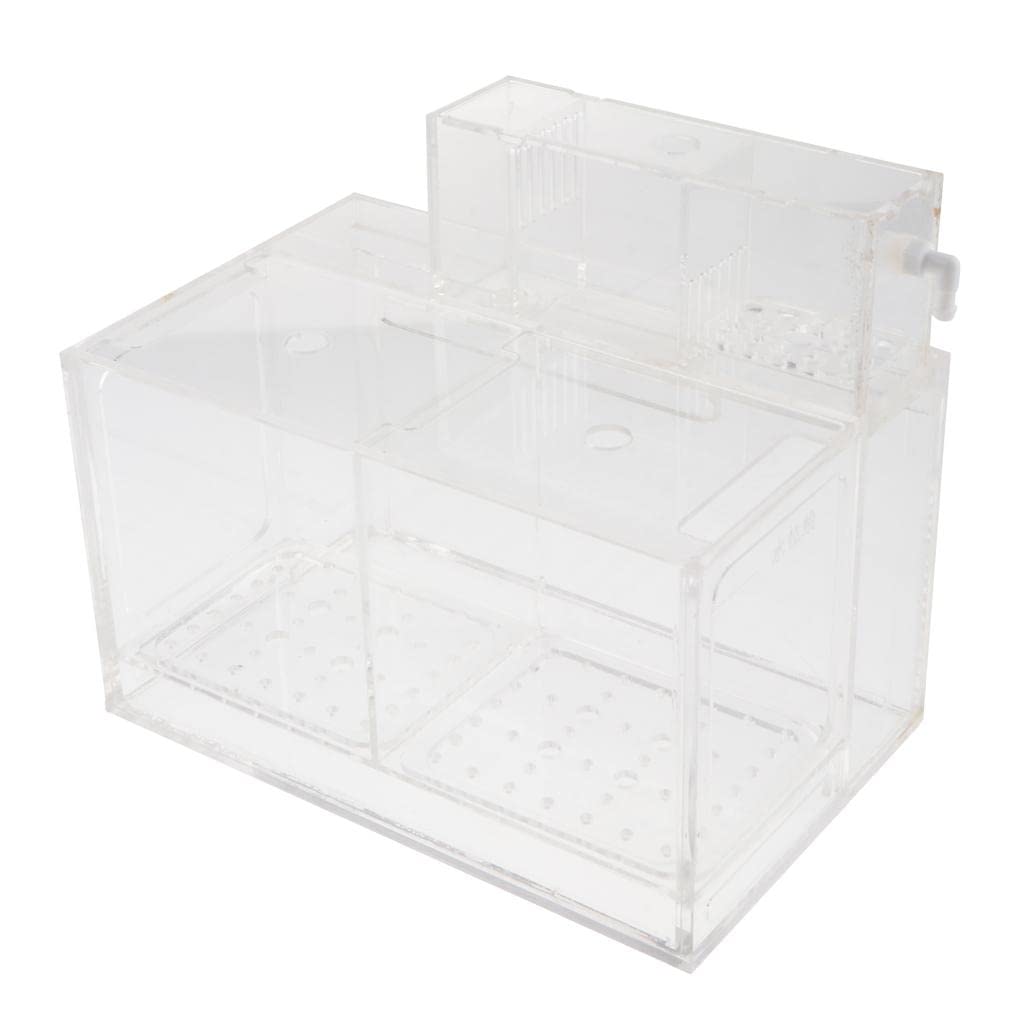 GAH Aquarium Tank Young Fish Breeding Hatchery Incubator Isolation Box ...
