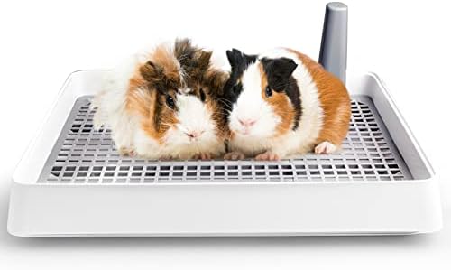 Amazon.com : PODOO Rabbit Large Litter Box, Guinea Pig Training Pan ...