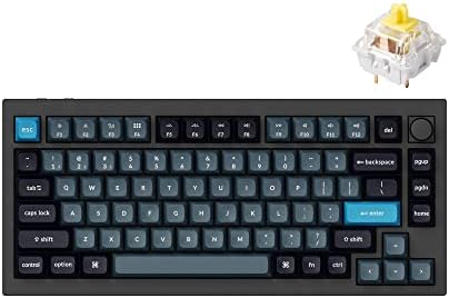Amazon.com: Keychron Q1 HE Wireless Custom Mechanical Keyboard with ...