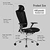Amazon.com: Cooler Master Ergo L Ergonomic Office Mesh Chair ...