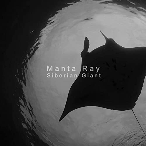 Manta Ray by Siberian Giant on Amazon Music - Amazon.com