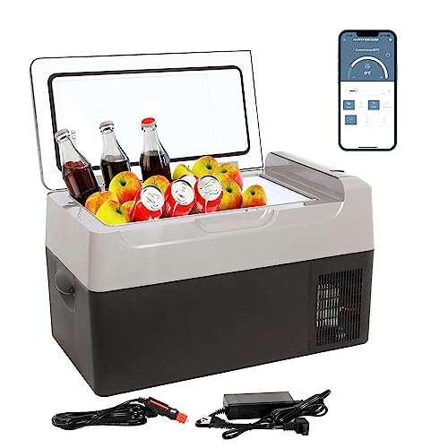 10 Must-Have Features to Consider When Buying a Car Refrigerator