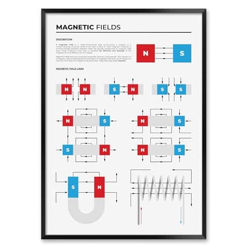 Amazon.com: Magnetic Fields Print for Science Theme Decoration, High ...