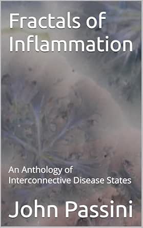 Amazon.com: Fractals of Inflammation: An Anthology of Interconnective ...