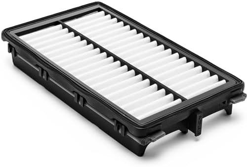 Amazon.com: (Hybrid excluded) 28113-L1000 Engine Air Filter for 22-23 ...