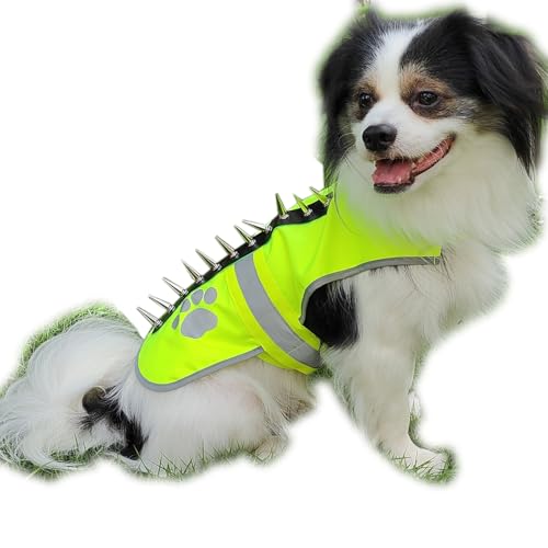 Dog Spike Vest – The 15 best products compared - Wild Explained