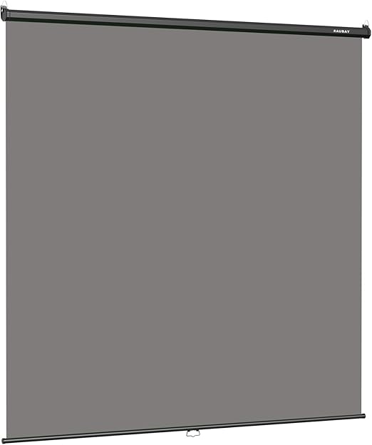 Amazon.com : RAUBAY Retractable Pull Down Grey Screen Backdrop - 78.7 ...