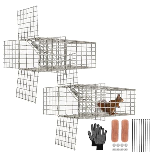 Best One Way Traps for Squirrels: Humane, Effective Offense and Easy ...
