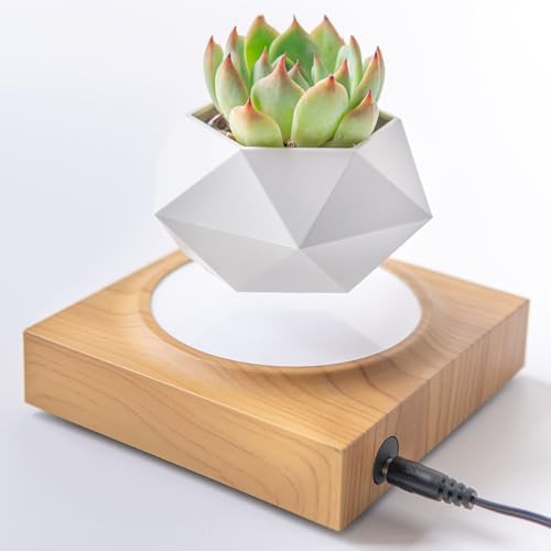 Amazon.com: BandDlevs Levitating Plant Pot - Floating Plant Pot for ...