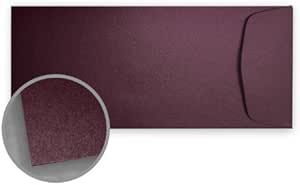 Amazon.com : Stardream Ruby Envelopes - No. 10 Policy (4 1/8 x 9 1/2 ...
