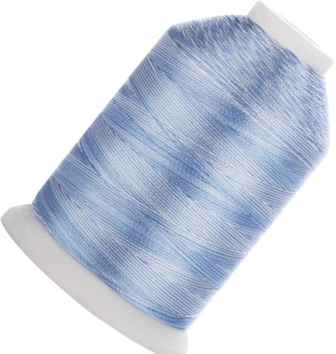 Amazon.com: Simthread Variegated Polyester Embroidery Thread 5500Yards ...