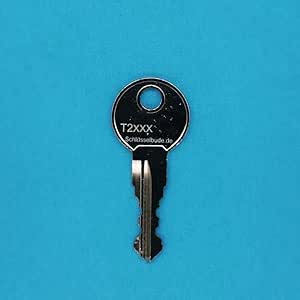 Amazon.com: Replacement key for Bosal trailer couplings. For AHK ...