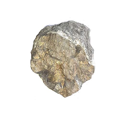 CHEZEL® Swarnamukhi Shila Swarnamukhi River Stone for Pooja : Amazon.in ...