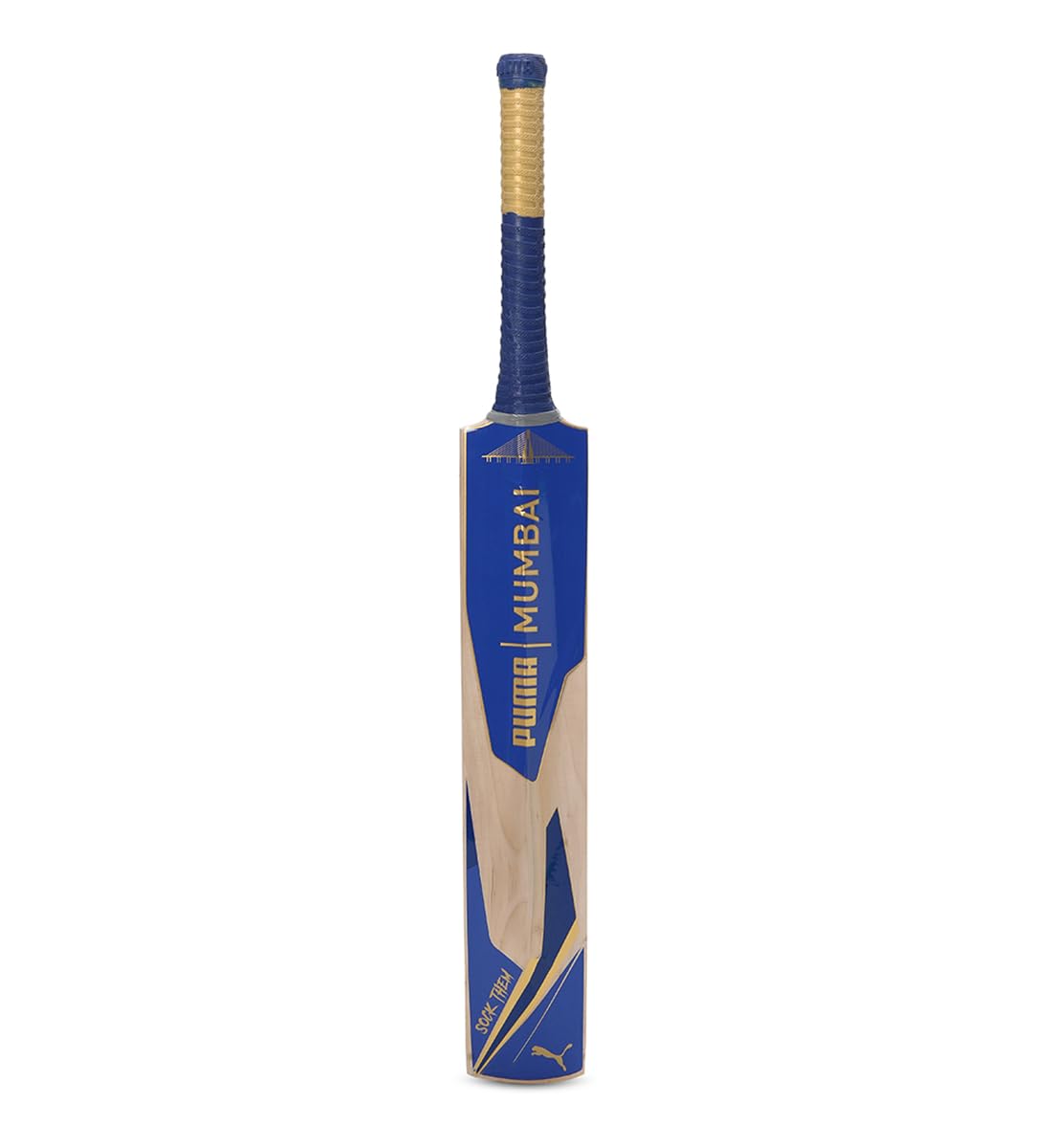 PUMA Mens Mumbai City Bat, Elektro Blue-Team Royal, SNR (5451201 ...
