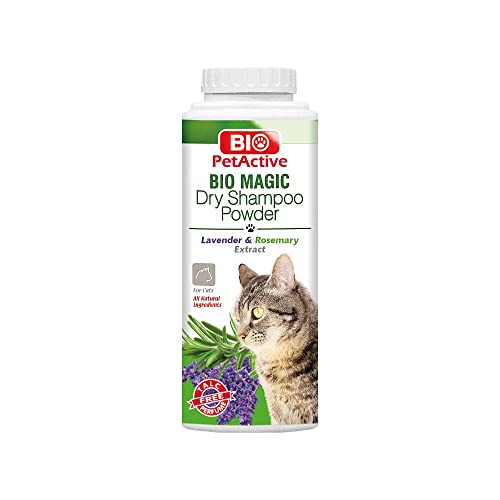 Cat Dry Shampoo – The 15 best products compared - Wild Explained