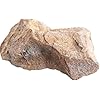 Amazon.com: KDAMGOQE Landscape Rocks Fake Rock Realistic Landscape ...