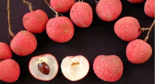 Lychee tree - How to grow & care