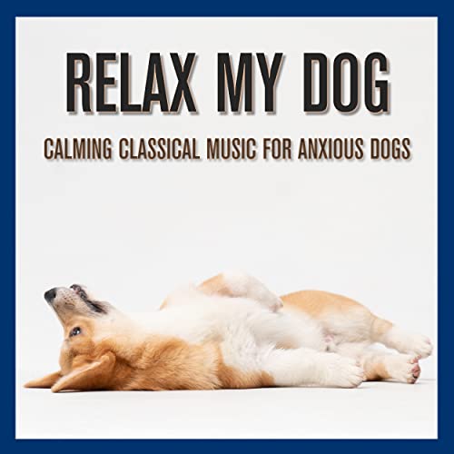 Relax My Dog: Calming Classical Music for Anxious Dogs by Relaxmydog ...