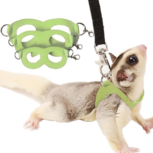 Amazon.com : 3 Pack Sugar Glider Harness and Leash Set Small Animal ...