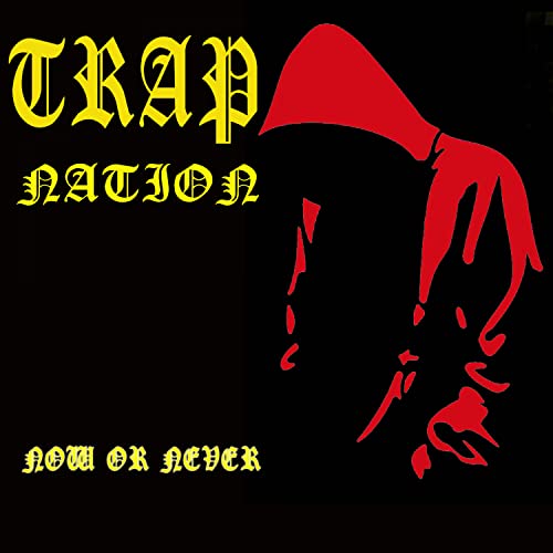 Amazon.com: Now or Never : Trap Nation (US): Digital Music