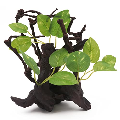 Spider Ball Pythons: 15 Cool Facts - Embora Pets