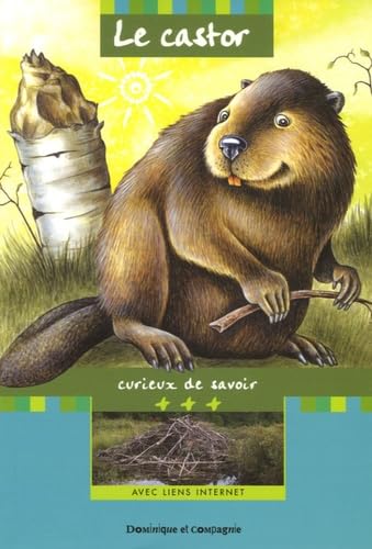 Amazon.com: Le castor: 9782895124573: Sylvie Roberge-Blanchet: Books