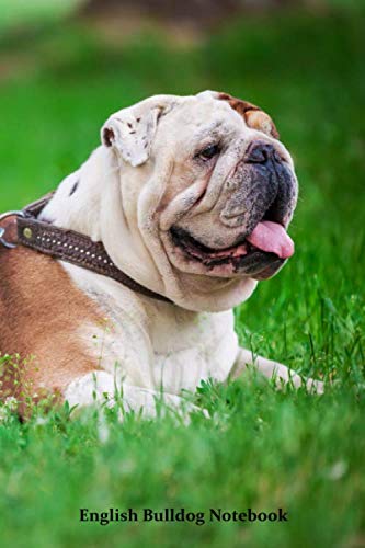 English Bulldog Notebook: Small lined English Bulldog notebook - Travel ...
