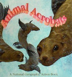 Pop-Up: Animal Acrobats: National Geographic Society: 9780870449550 ...
