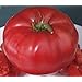 TOMATO - GIGANTOMO F1 - 12 FINEST SEEDS - WORLDS LARGEST BEEFSTEAK ...
