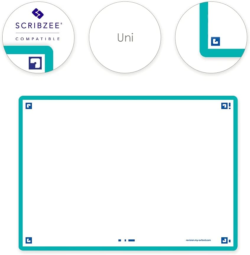 Oxford Flash 2.0 Pack of 80 Flash Cards a6 Mint Green – TopToy