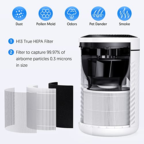 The 29 Best Smart Sensor Air Purifiers of 2025 [Verified] - Cherry Picks