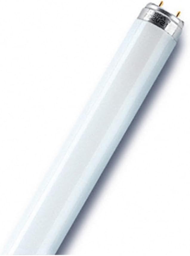 Osram T8 Fluorescent Tube 58 W/840, Cool White, Glass, G13, W : Amazon ...