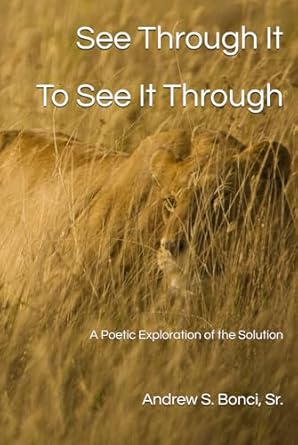 See Through It To See It Through: A Poetic Exploration of the Solution ...