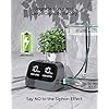 Amazon.com : Automatic Watering System for Potted Plants, Plant Waterer ...