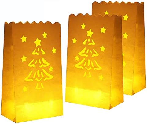 Amazon.com: Christmas Lantern Bag - 24 Pack North Aurora Point Star ...