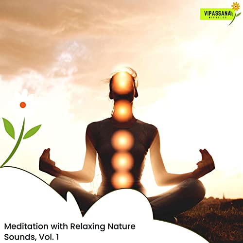 Play Meditation With Relaxing Nature Sounds, Vol. 1 by Lillian Rocher ...