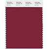 PANTONE Smart 19-2030X Color Swatch Card, Beet Red - House Paint ...