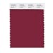 PANTONE Smart 19-2030X Color Swatch Card, Beet Red - House Paint ...