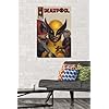 Amazon.com: Trends International Marvel Deadpool & Wolverine - Homage ...