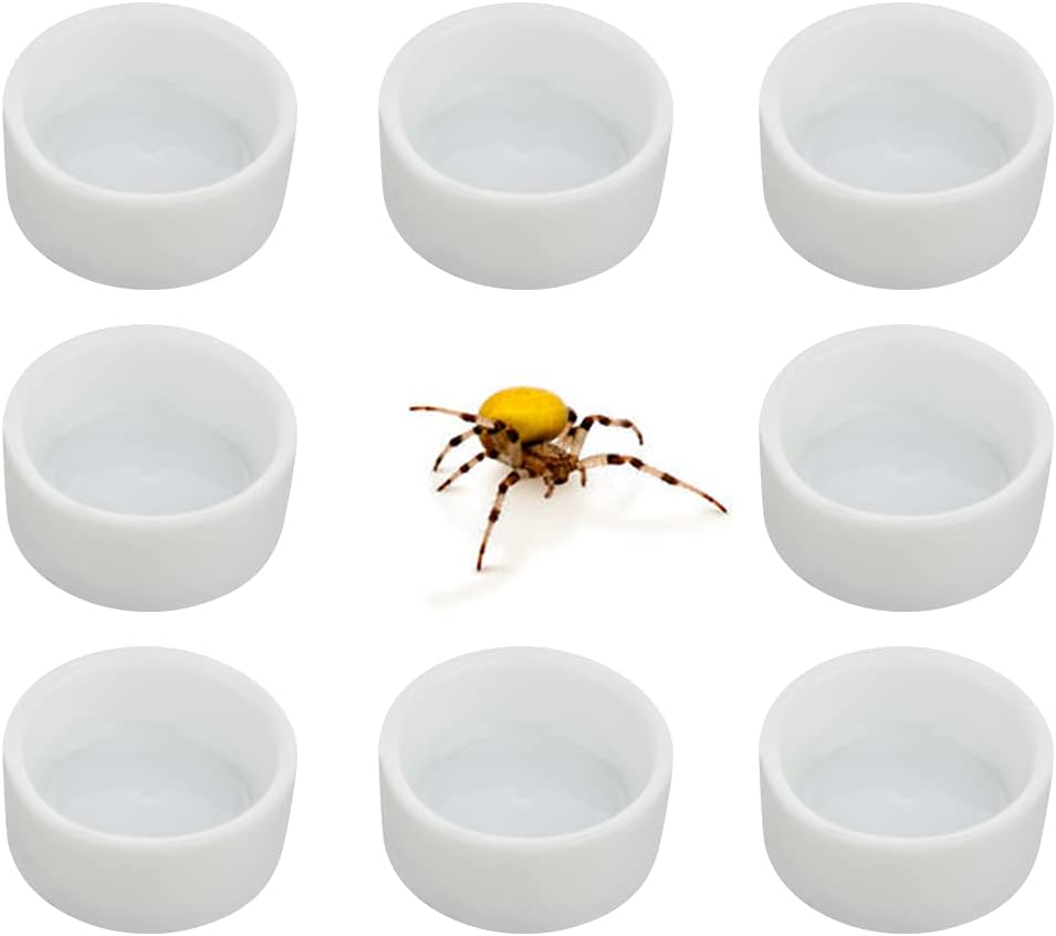 Amazon.com : 36 Pcs Spider Micro Water Bowl Mini Ceramic Dish for ...