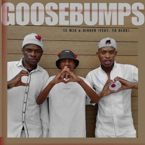 Amazon.com: Goosebumps : 12 Mza: Digital Music
