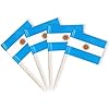 Amazon.com | Argentina Flag Argentine Flag, Small Mini Argentina ...