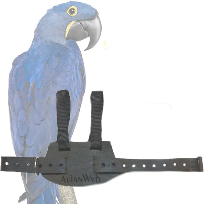 EZ Macaw Bird Harness with 8 Ft Leash (Jumbo (Largest / Heaviest ...