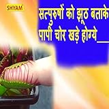 【発売日：2024年07月04日】・製造元:Shyam Cassette