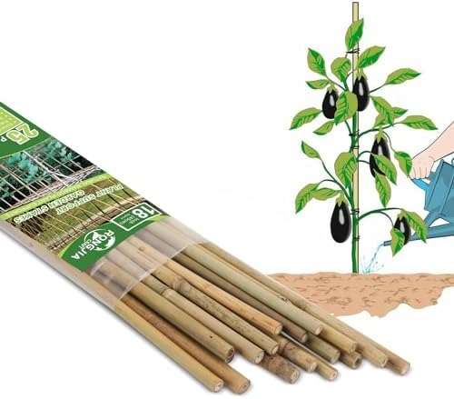 Amazon.com : Strong Bamboo Stakes, Multi-Purpose Bamboo Plant Support ...
