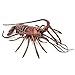 Amazon.com: Safari Ltd. Spiny Lobster Figurine - Hand-Painted, Lifelike ...